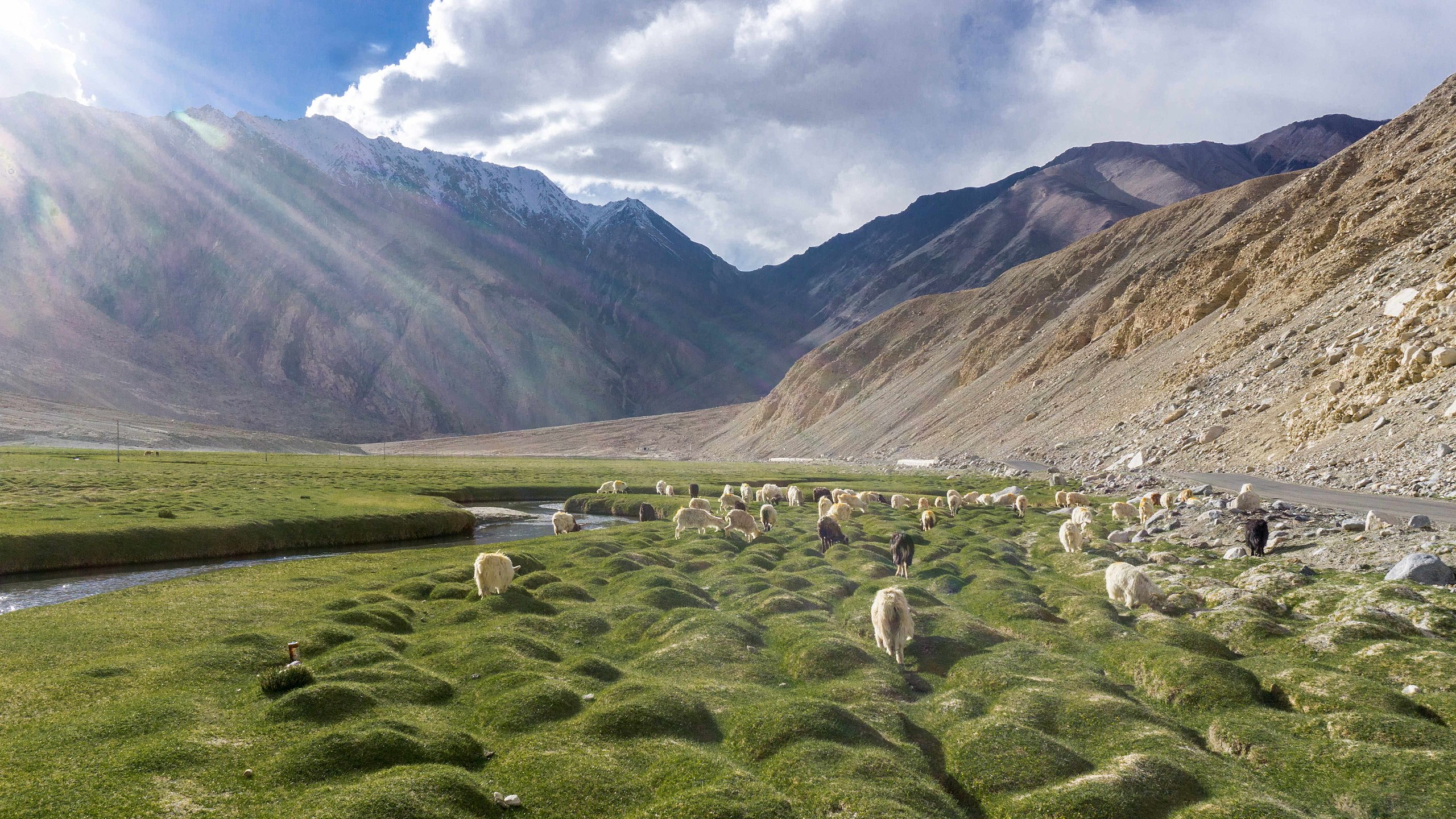Nubra Valley - Naturecamp Travels